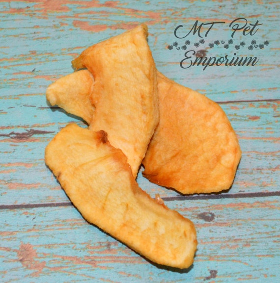 Apple Slices Hermit Crab Food - Etsy