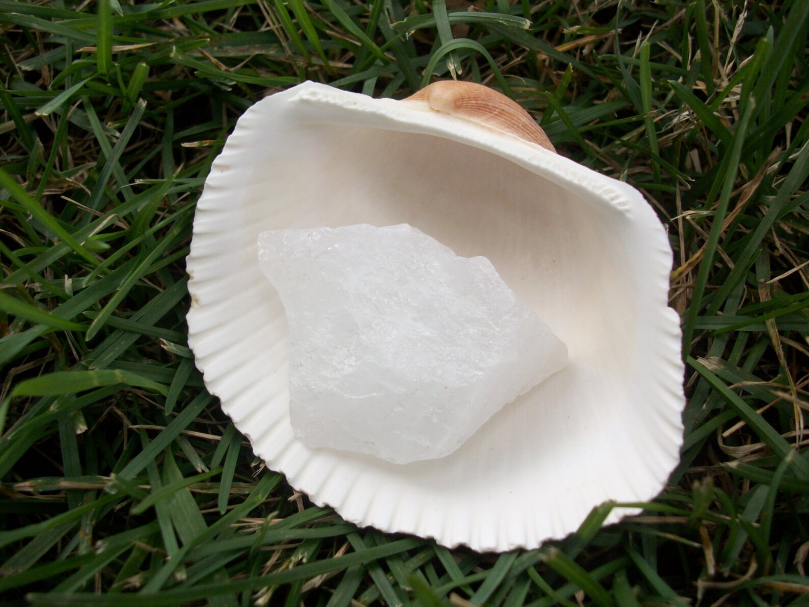 White Snow Quartz Raw Crystal | Etsy