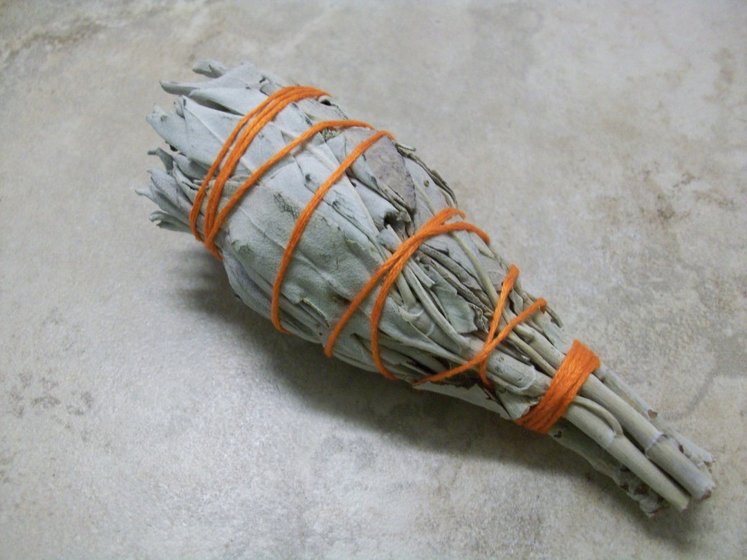 California White Sage Mini Smudge Stick - Etsy