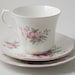 Springfield Bone China Primrose Spring Pattern Pink Border Three-piece ...