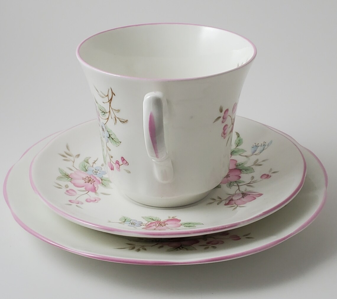Springfield Bone China Primrose Spring Pattern Pink Border Three-piece ...