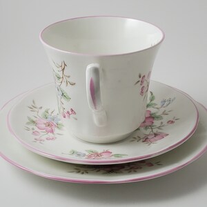 Springfield Bone China Primrose Spring Pattern Pink Border Three-piece ...