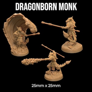 Dragonborn Monks by Dragon Trappers Lodge | Unpainted | Print on Demand ...