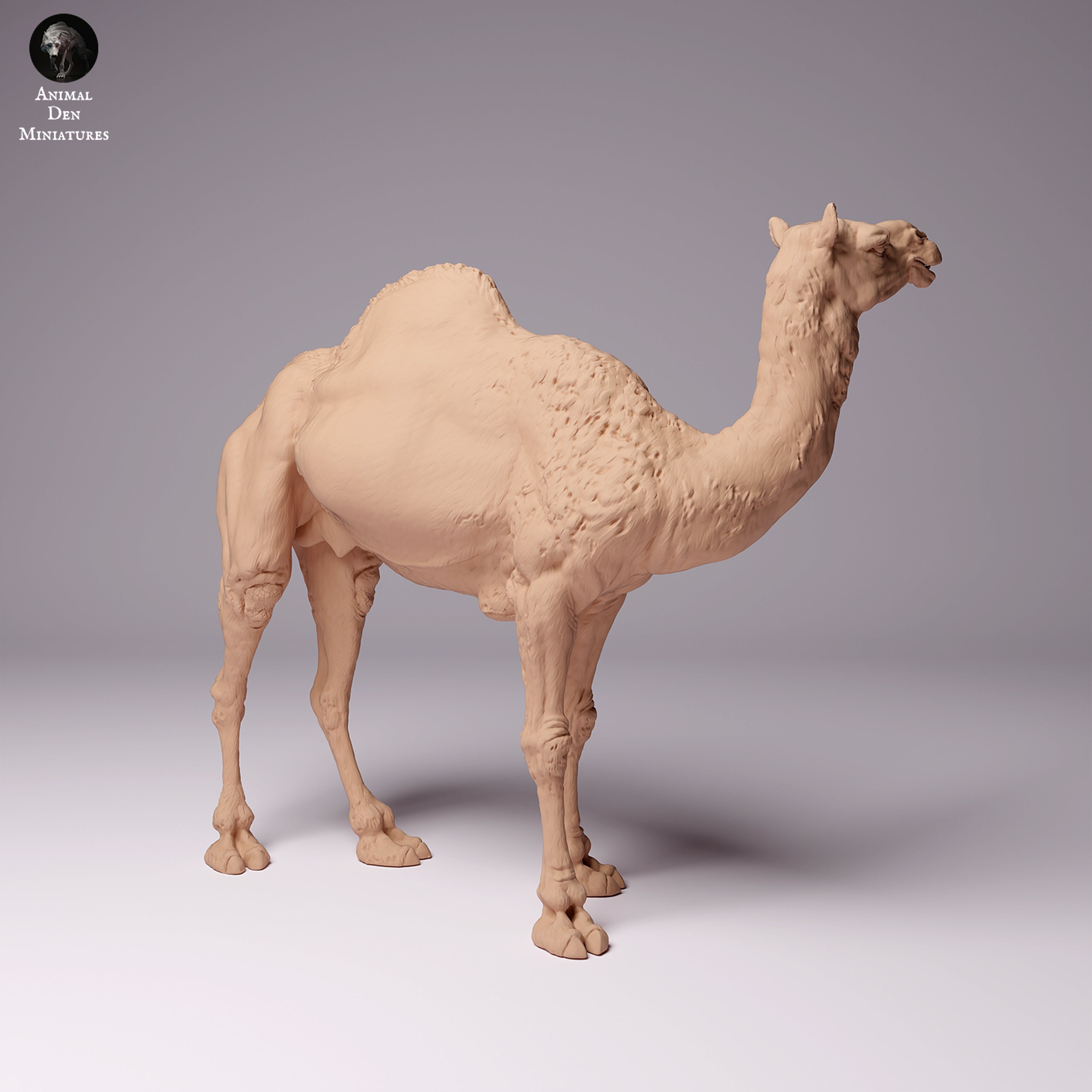 Dromedary Camels 1:24 Scale by Animal Den Miniatures | Unpainted ...