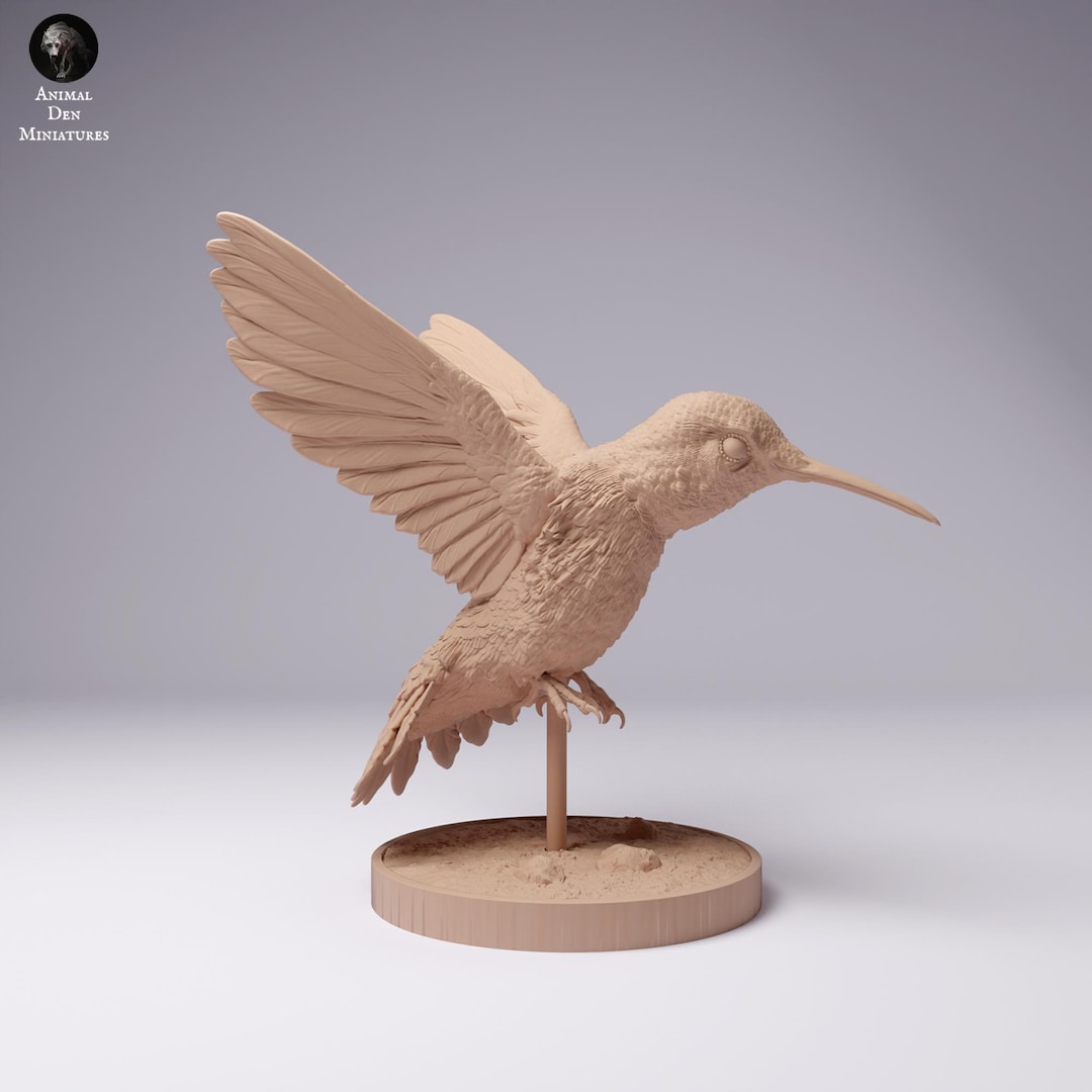 Broad-tailed Hummingbird 1:1 Scale by Animal Den | Unpainted | Print on ...