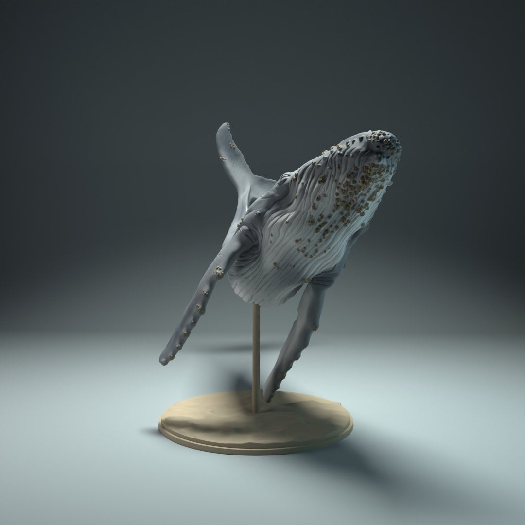 Humpback Whale 1:100 Scale Model by Animal Den | Unpainted | Print on ...