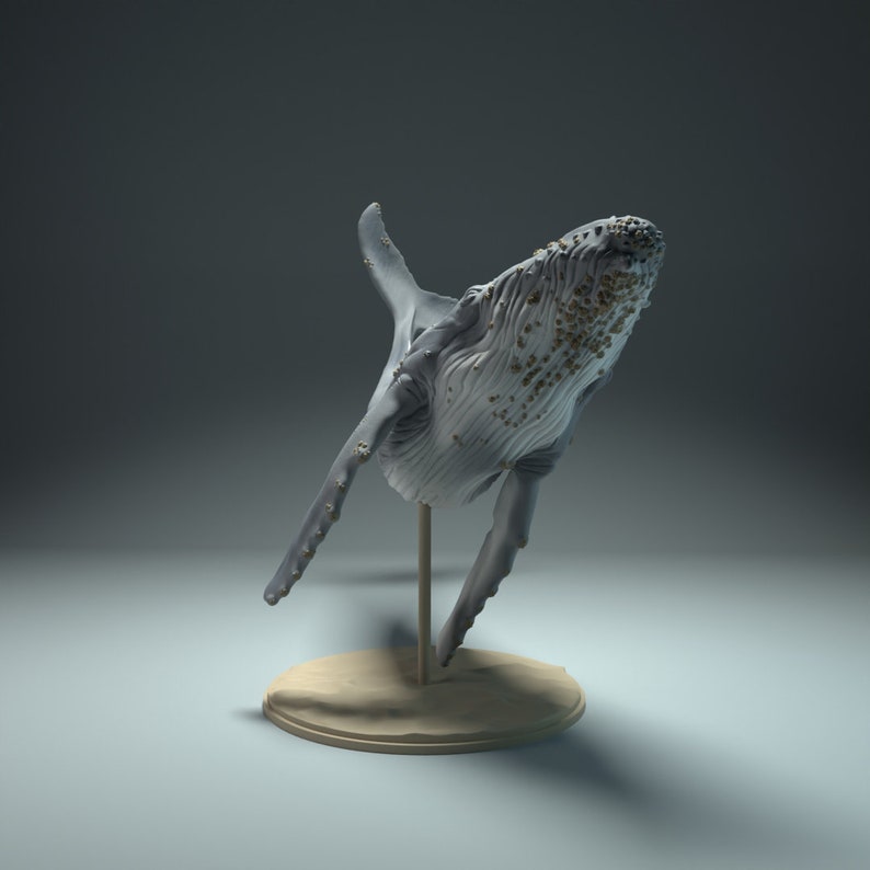 Humpback Whale 1:100 Scale Model by Animal Den | Unpainted | Print on ...