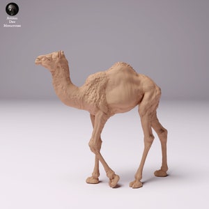 Dromedary Camels 1:24 Scale by Animal Den Miniatures | Unpainted ...