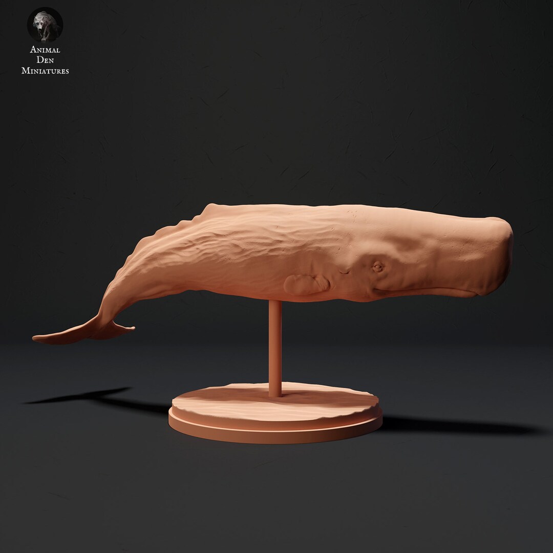 Sperm Whales 1:100 Scale by Animal Den | Unpainted | Print on Demand | Use Code FREESHIP50 - Etsy