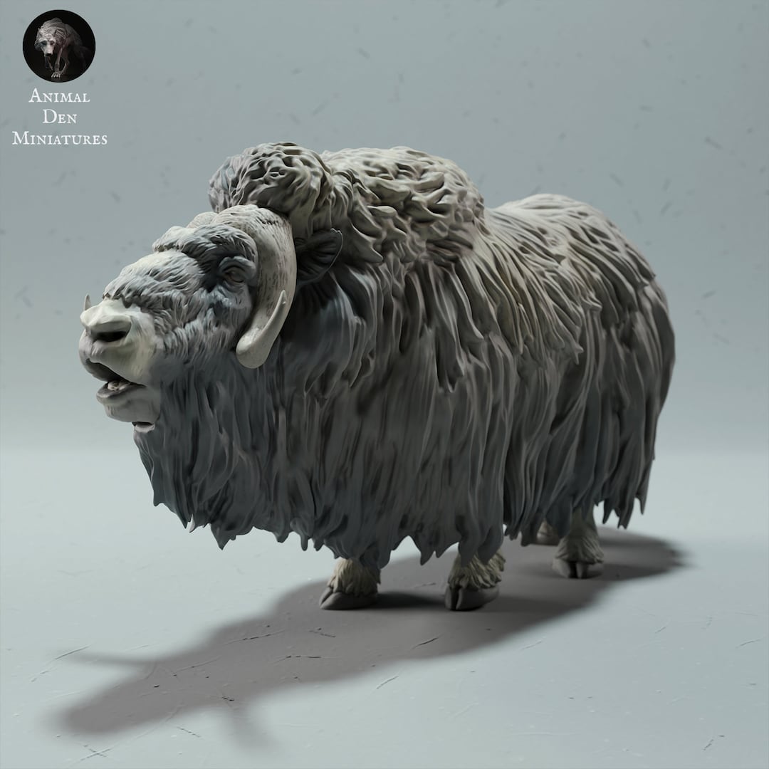 Musk Ox 1:24 Scale Model by Animal Den Miniatures | Unpainted | Print ...