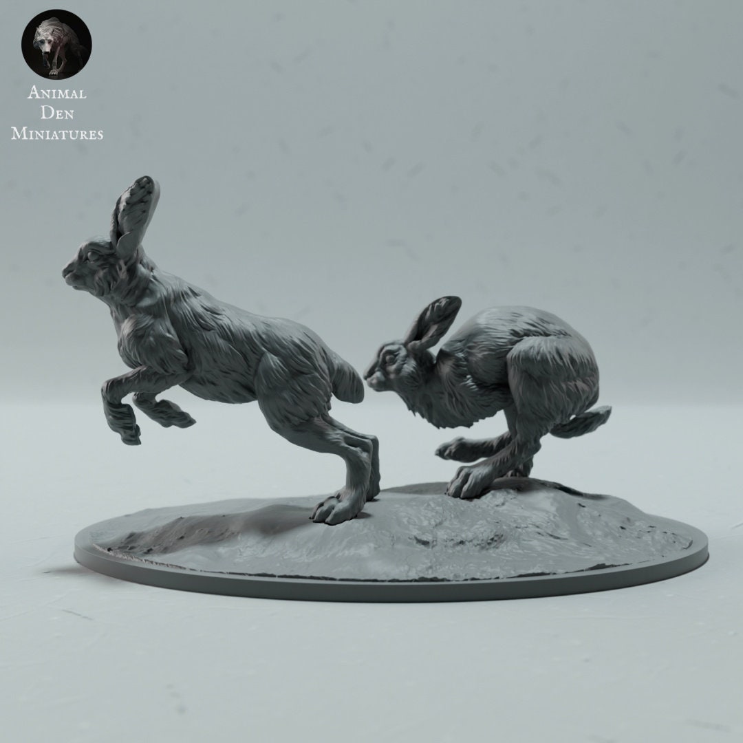 Artic Hare 1:16 Scale Model by Animal Den Miniatures | Unpainted ...