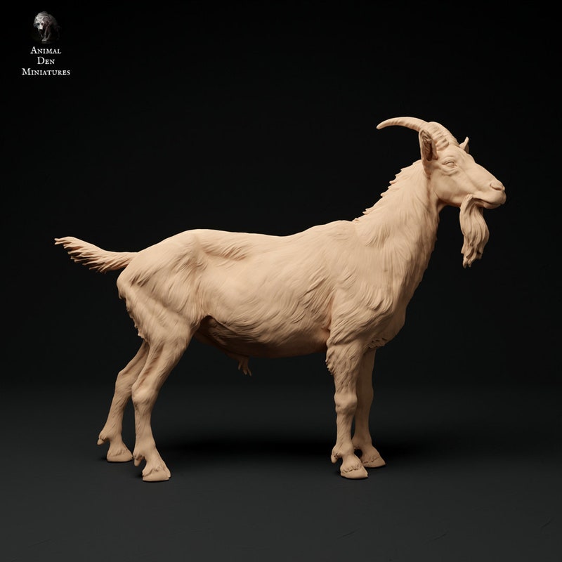 Miniature Goat - Etsy