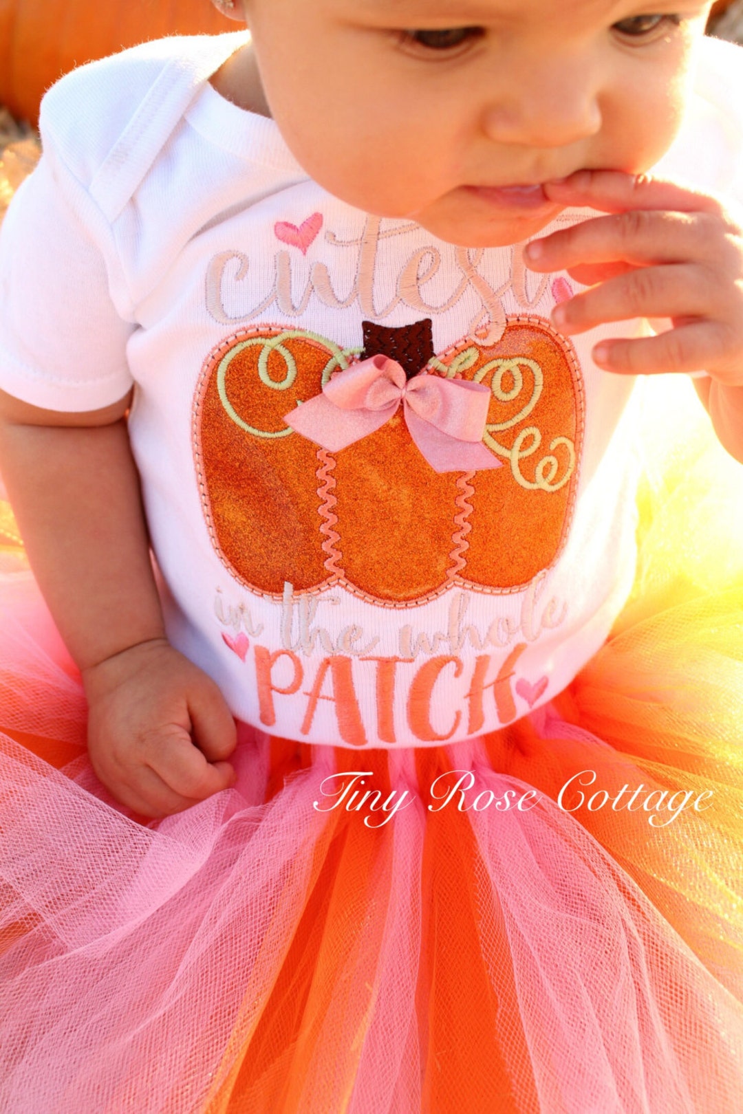 Cutest Pumpkin in the Patch. in Glitter Orange Silver and - Etsy