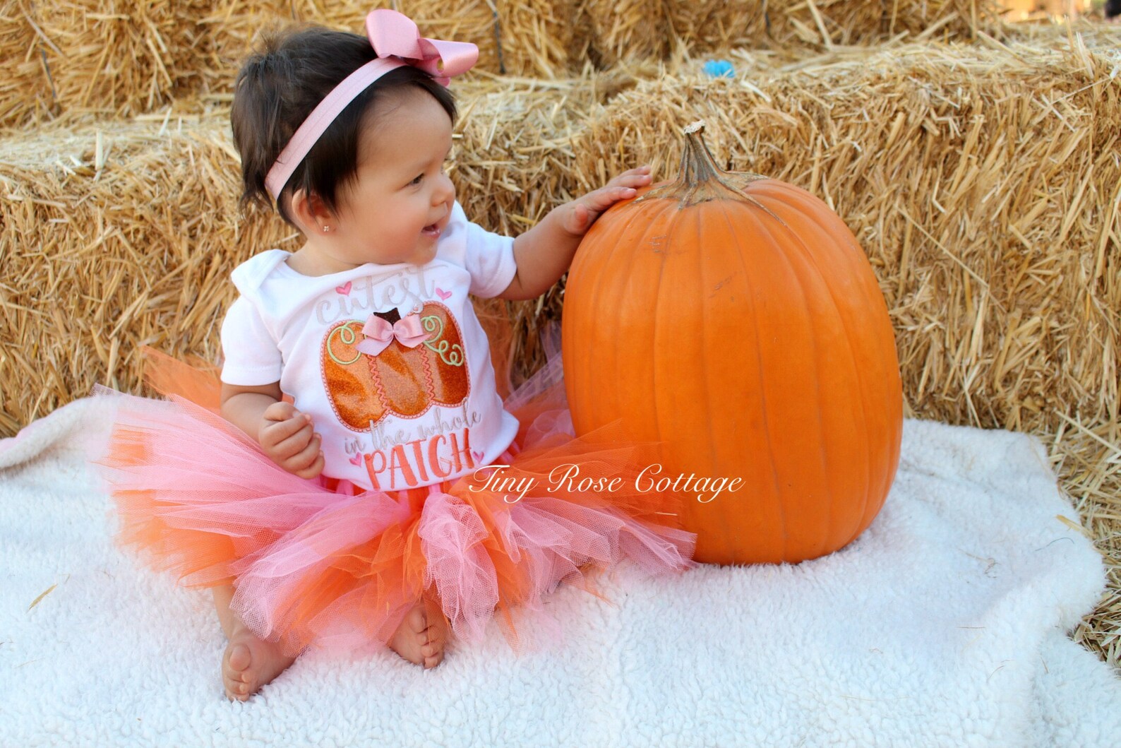 Cutest Pumpkin in the Patch. in Glitter Orange Silver and - Etsy