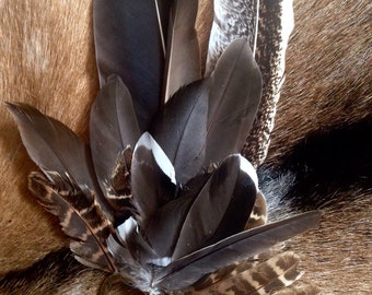 Feather display | Etsy