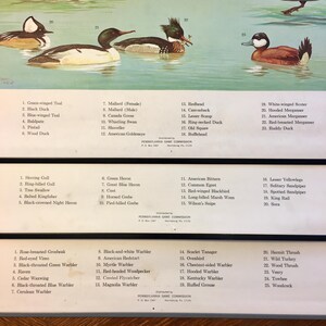 NED SMITH Posters, 3 Posters, Wall Art, 17 3/4 X 30, 1965 Pennsylvania ...