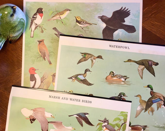NED SMITH Posters, 3 Posters, Wall Art, 17 3/4" X 30", 1965 ...