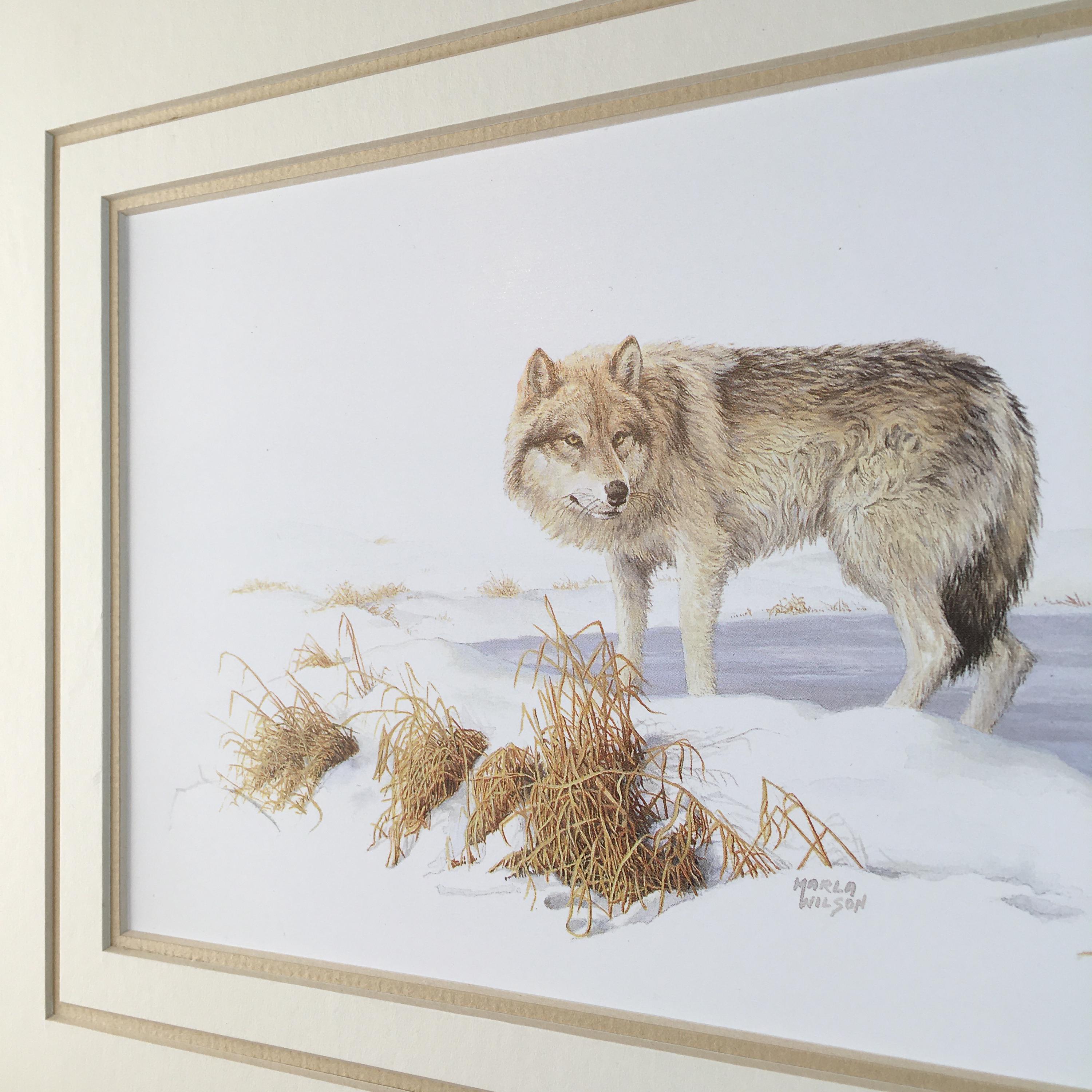 MARLA WILSON Signed Print, 'wolf,' 1986, Canadian Artist, Signed Art ...