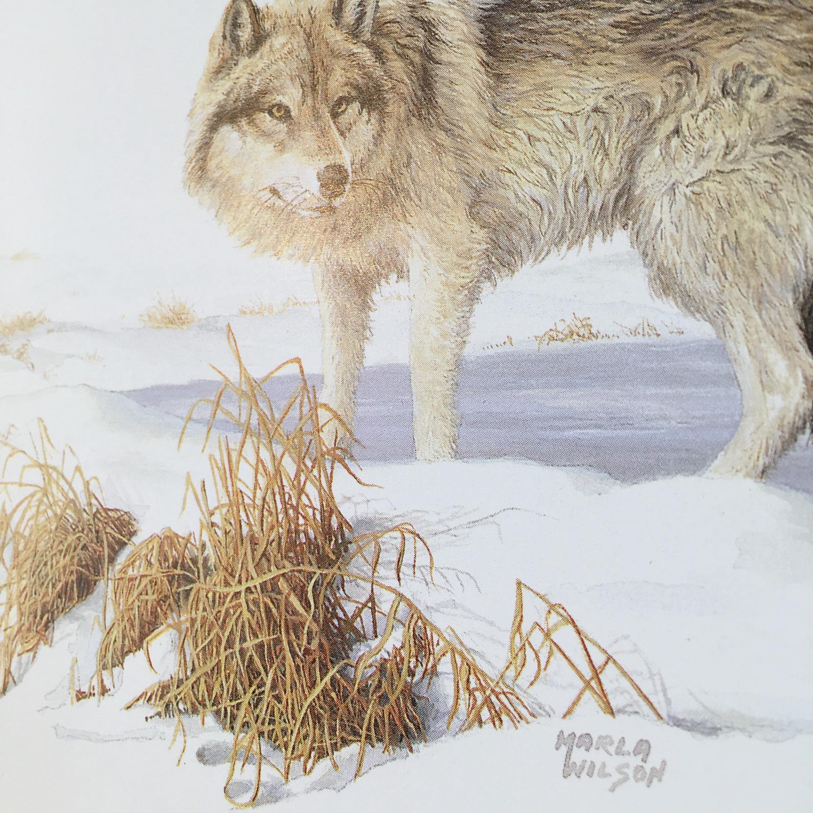 MARLA WILSON Signed Print, 'wolf,' 1986, Canadian Artist, Signed Art ...