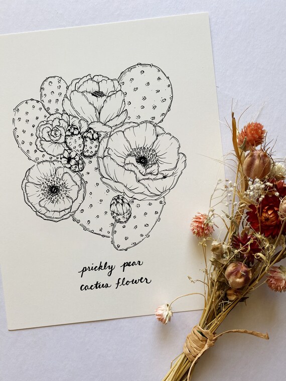 Prickly Pear Line Drawing