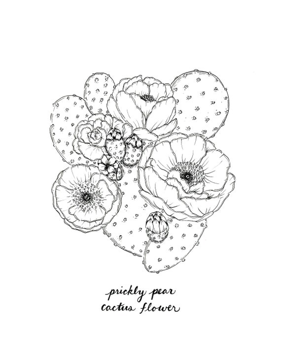 Prickly Pear Line Drawing