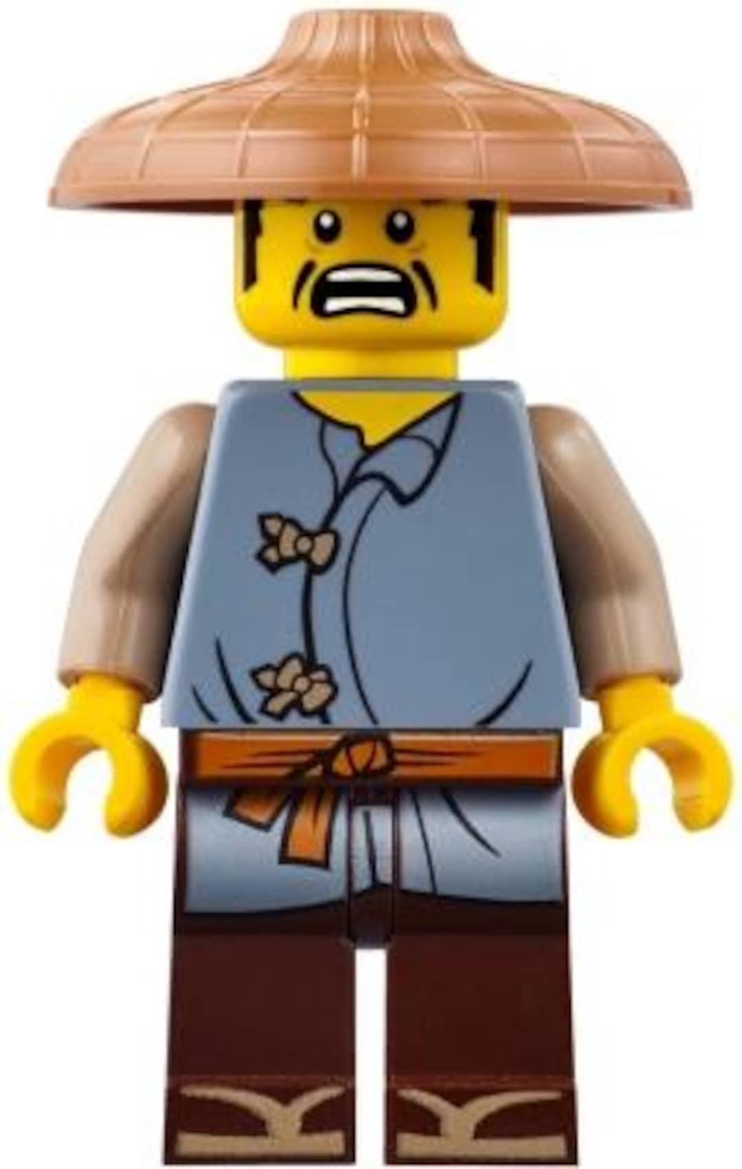 Lego MINIFIGURE the LEGO NINJAGO Movie Ray, Conical Hat - Etsy