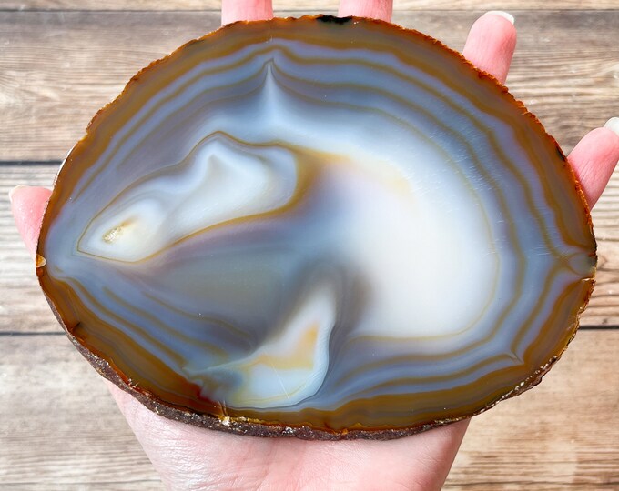 Extra Large Natural Agate Geode Slice Gray Tan Brown Earth Tone Mineral ...