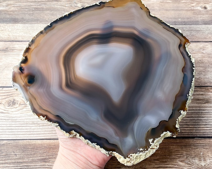 Extra Large Natural Agate Geode Slice - Brown Tan Gray Earth Tone ...