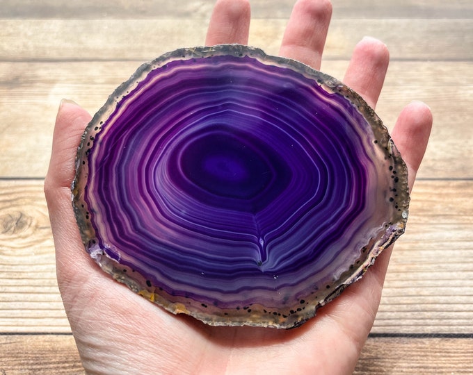 Purple Agate Slice - Geode Slab for Sale Craft Supply Mineral Specimen ...