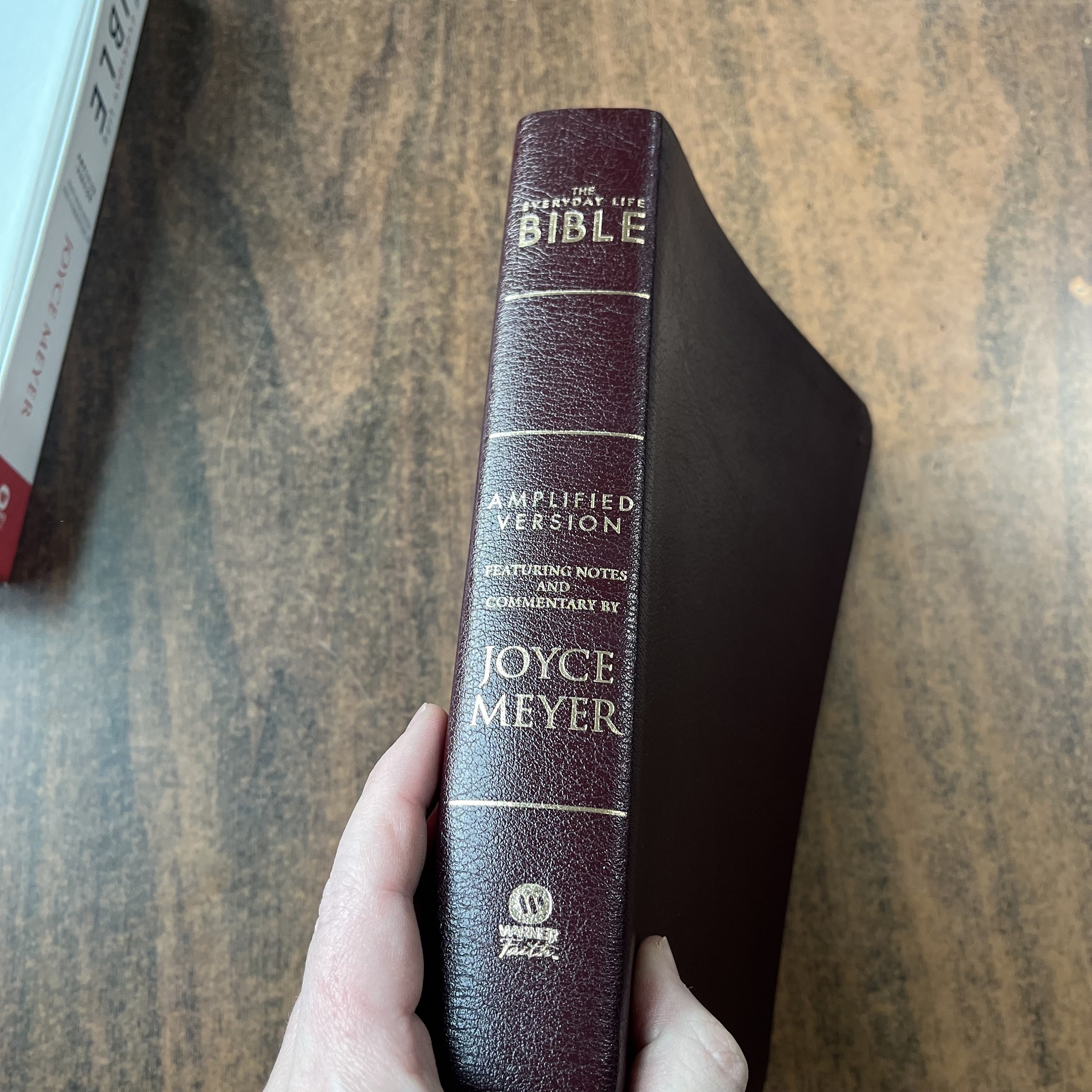 Amplified Classic 1987 Everyday Life Bible Burgundy Bonded Leather Out ...