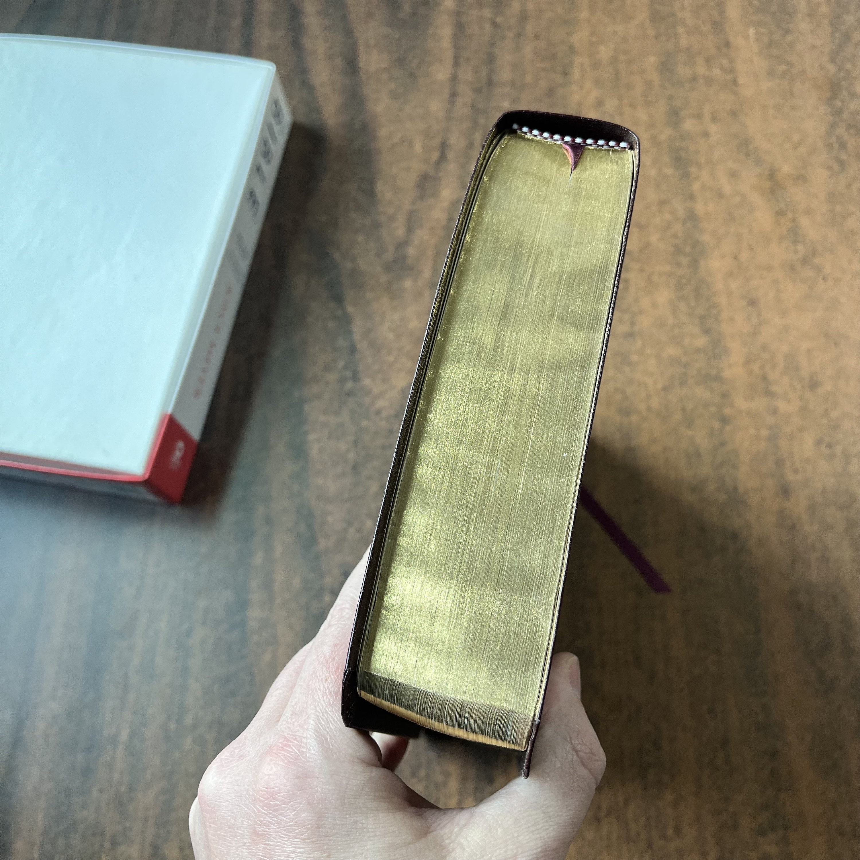 Amplified Classic 1987 Everyday Life Bible Burgundy Bonded Leather Out ...