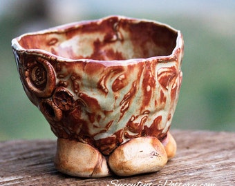 Handmade Pottery for Succulent Gardens as well by SucculentPottery