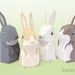 Easter Bunny Rabbit, Favor Boxes, Gift Boxes, Spring Celebrations ...