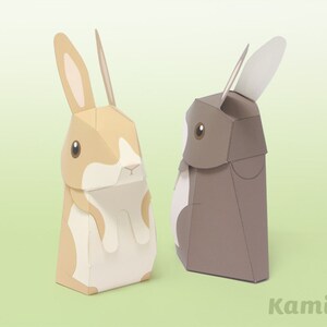 Easter Bunny Rabbit, Favor Boxes, Gift Boxes, Spring Celebrations ...