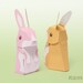 Easter Bunny Rabbit - Favor Boxes, Gift Boxes, Spring Celebrations ...