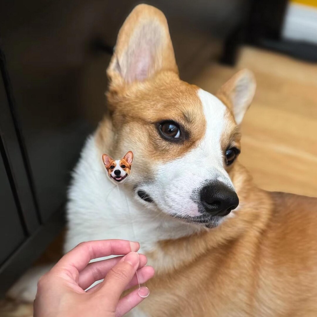 Custom Pet Stir Sticks, Double-sided Dog Wedding Stir Stick, Pet ...