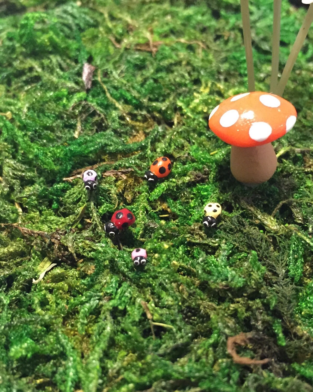 Miniature Lady Bug Fairy Garden Accessories, Hand Painted Woodland ...