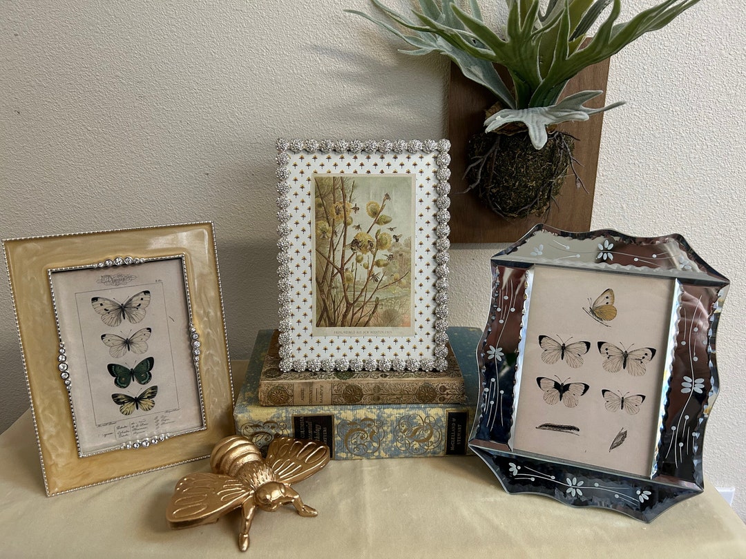 Dark Academia Frame, Vintage Botanical Print, Framed Bee Print, Bee ...