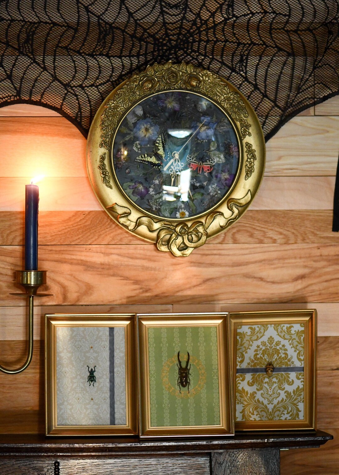 Taxidermy Beetles, Vintage Framed Beetles, Dark Academia Decor, Framed ...