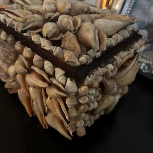 Vintage Shell Trinket Box, Shell Jewelry Box, Nautical Decor, Vintage ...