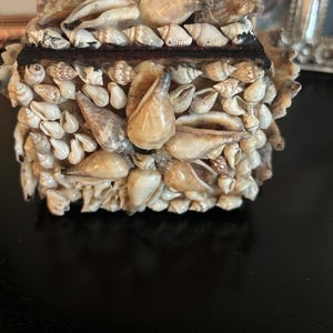 Vintage Shell Trinket Box, Shell Jewelry Box, Nautical Decor, Vintage ...