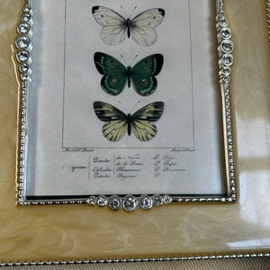 Dark Academia Frame, Vintage Botanical Print, Framed Bee Print, Bee ...