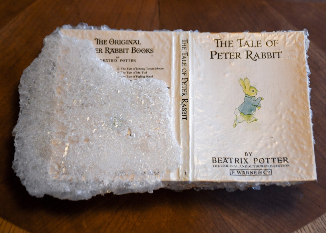 Crystalized Book, Vintage Children's Book, Dark Academia Decor, Vintage ...