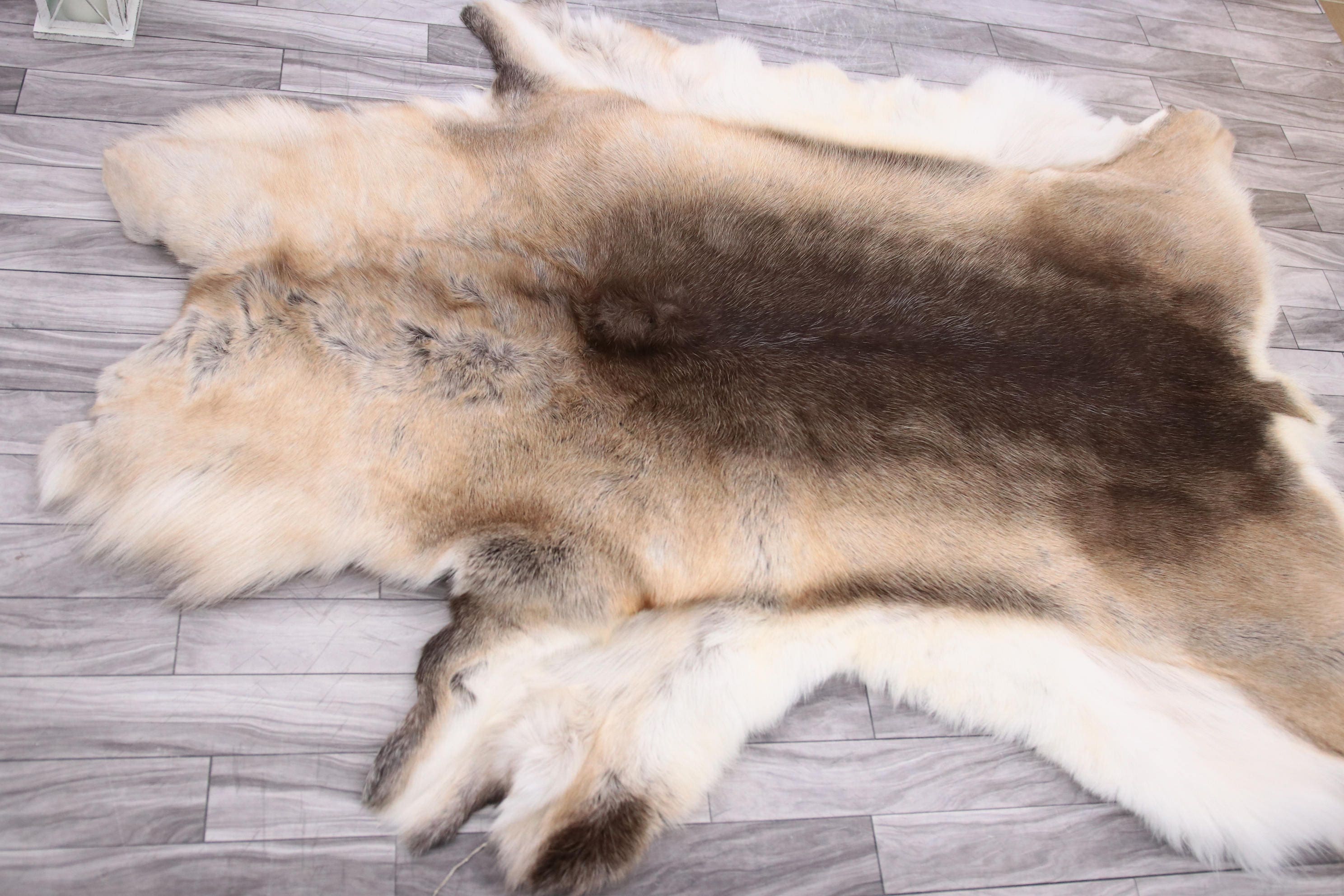 Reindeer Hide | Reindeer Rug | Reindeer Skin | Throw XXL EXTRA LARGE ...