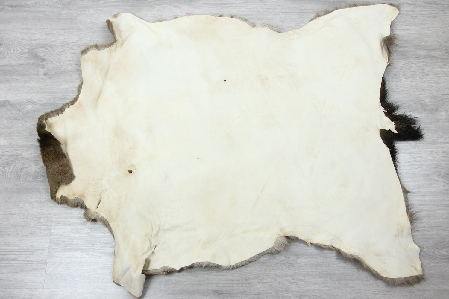 Deer Hide | Deer Rug | Deer Skin | Throw L Large - Scandinavian Style ...
