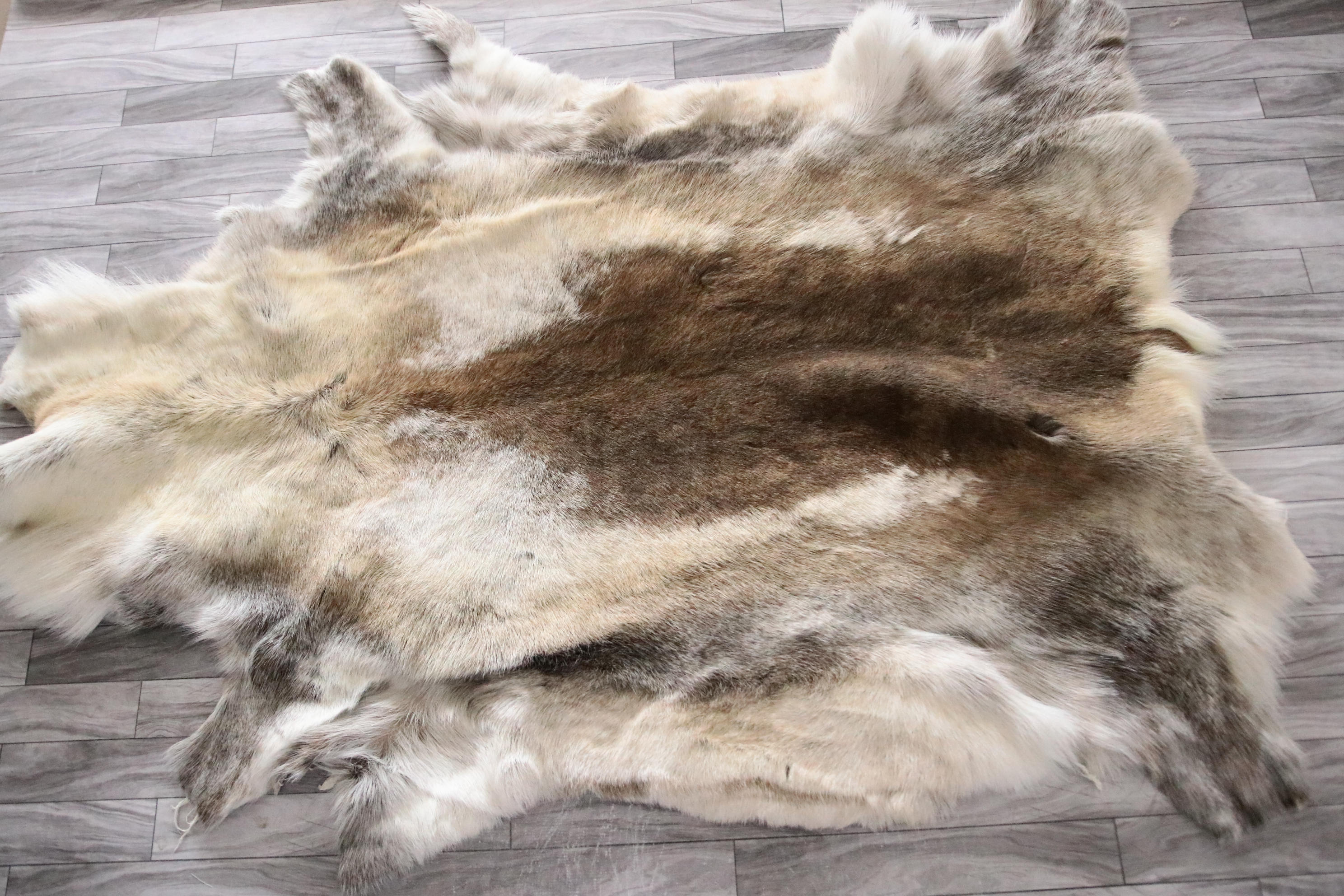 Reindeer Hide | Reindeer Rug | Reindeer Skin | XXL GIANT Throw Large ...