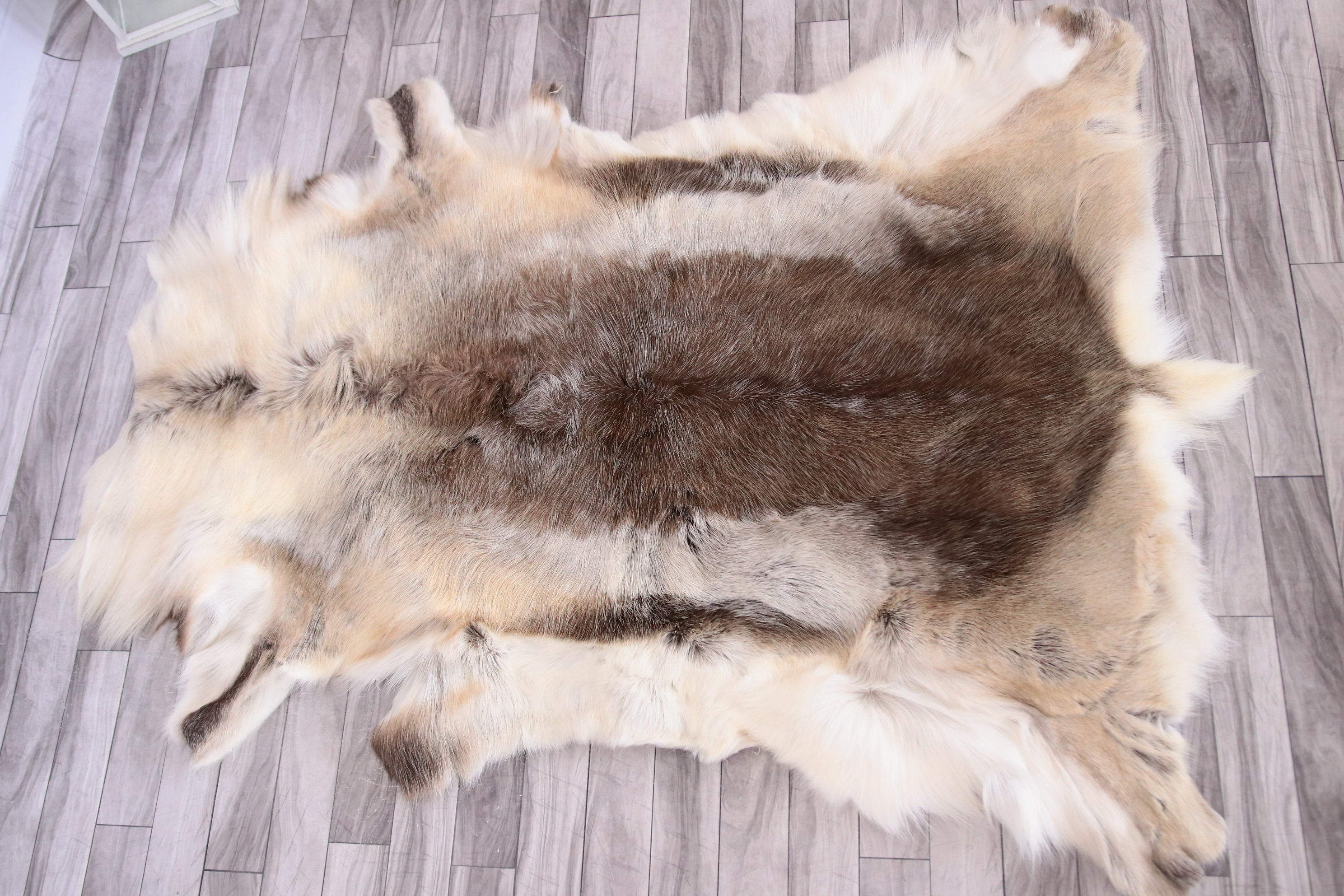 Reindeer Hide | Reindeer Rug | Reindeer Skin | Throw L LARGE ...