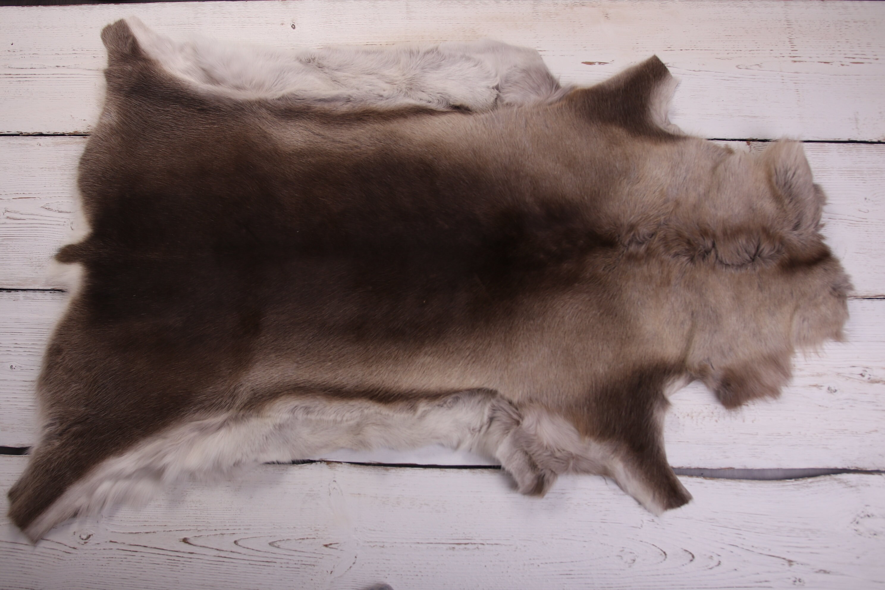 Reindeer Hide | Reindeer Rug | Reindeer Skin | Throw XXL EXTRA LARGE ...