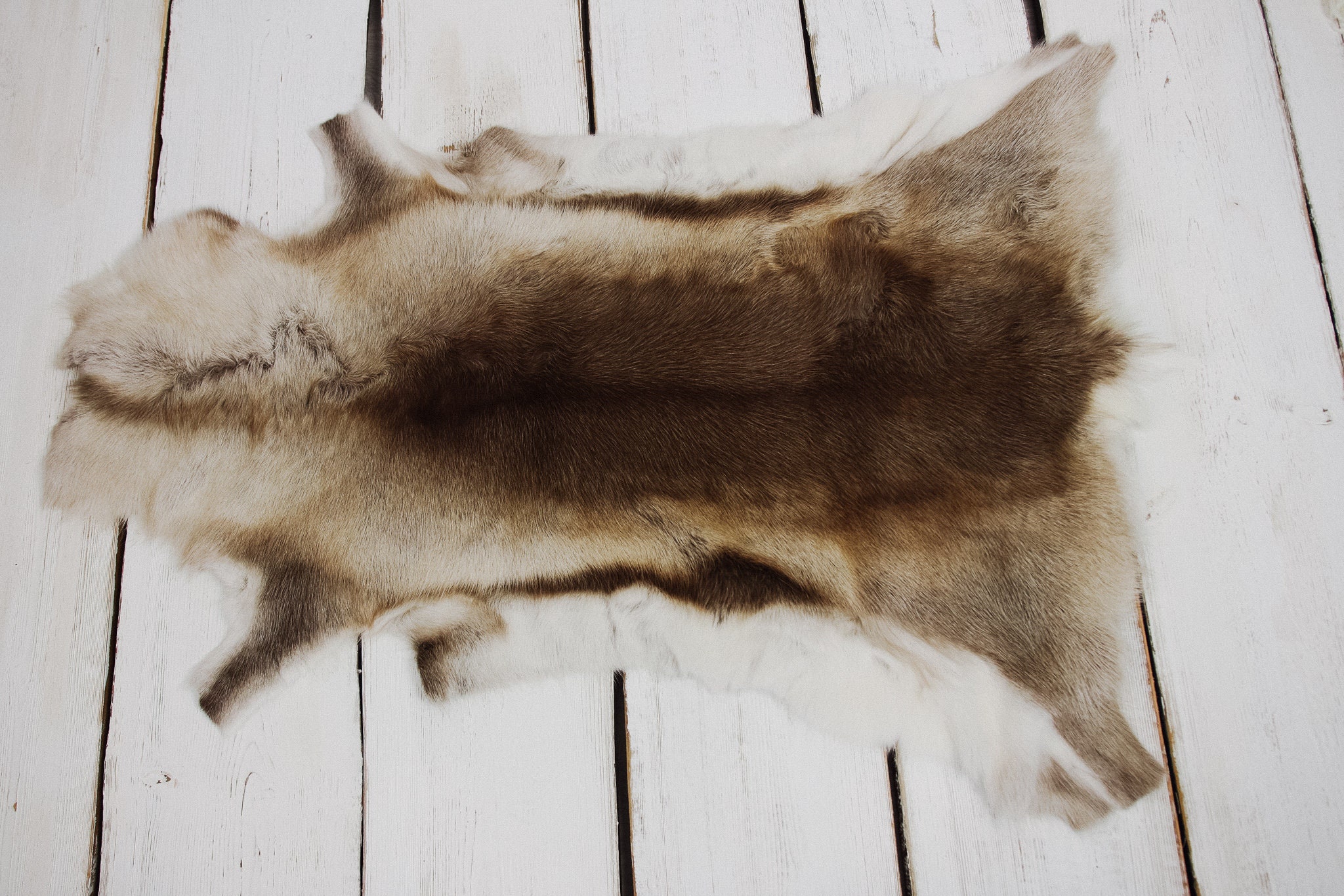Reindeer Hide | Reindeer Rug | Reindeer Skin | Throw XXL EXTRA LARGE ...