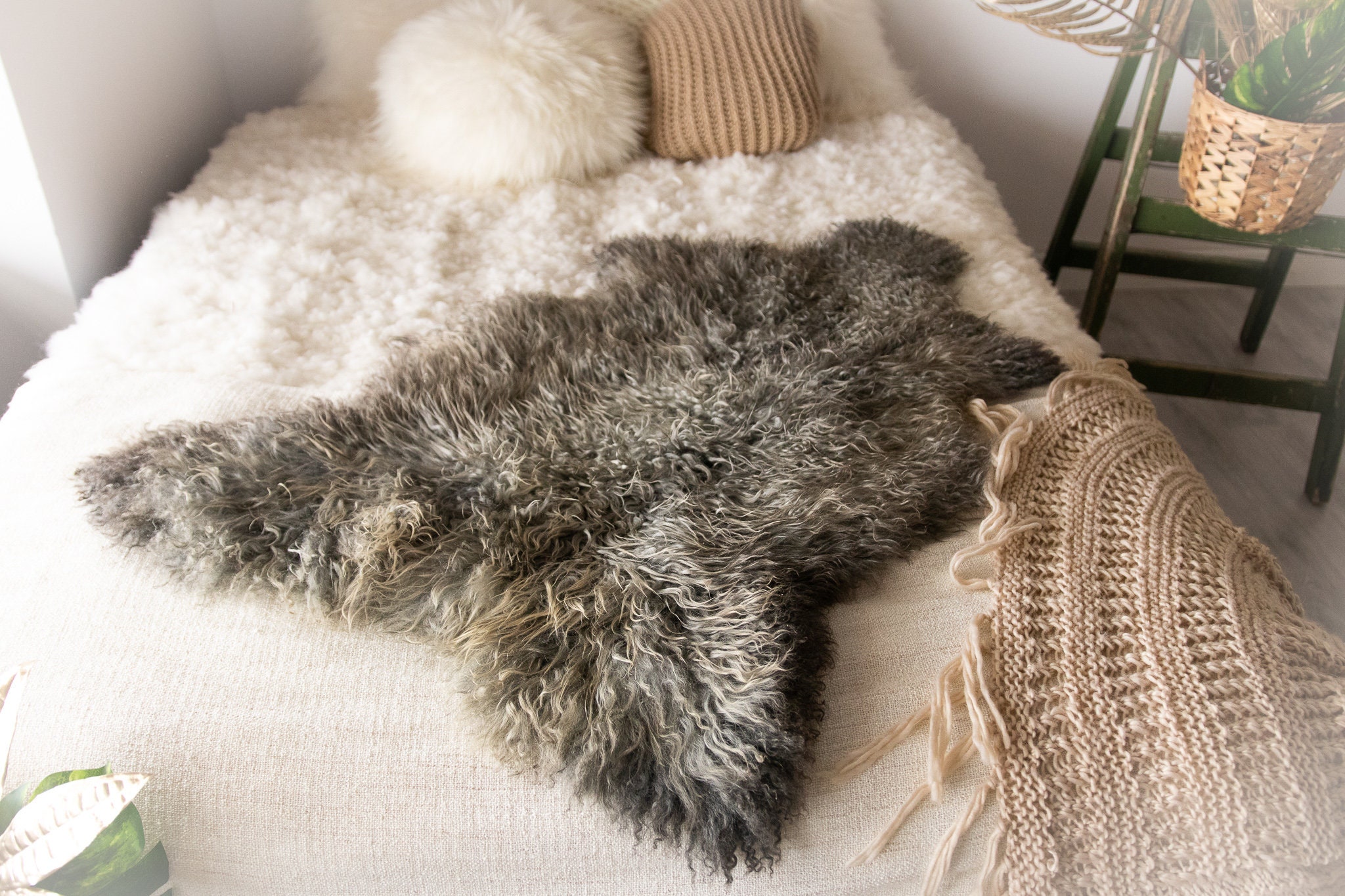 Real Sheepskin Rug Genuine Rare Gotland Sheepskin Rus - Curly Fur Rug ...